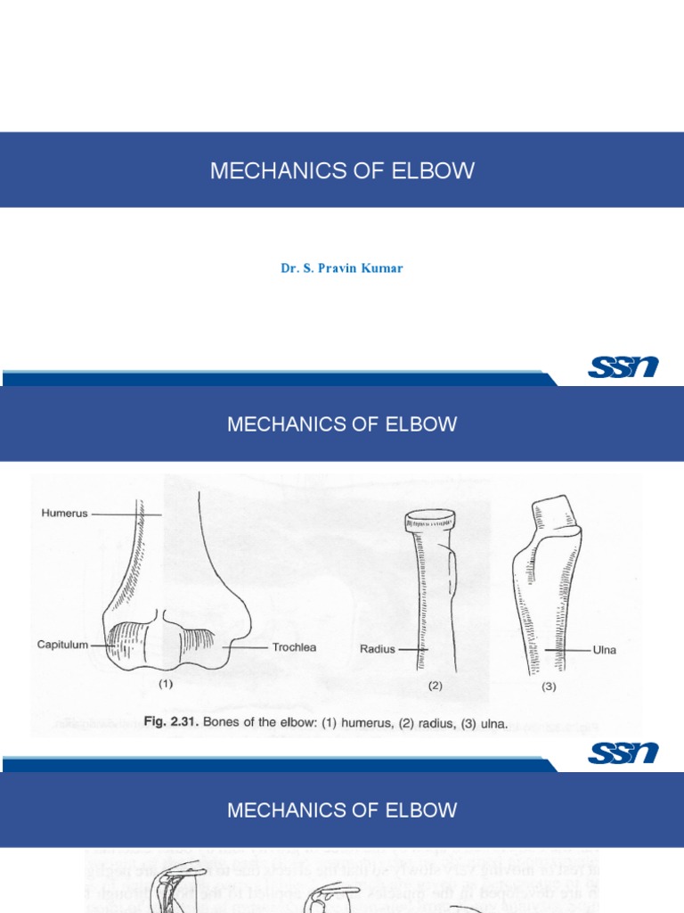 An Analysis of Elbow Mechanics: Simplified Models, Joint Reaction ...