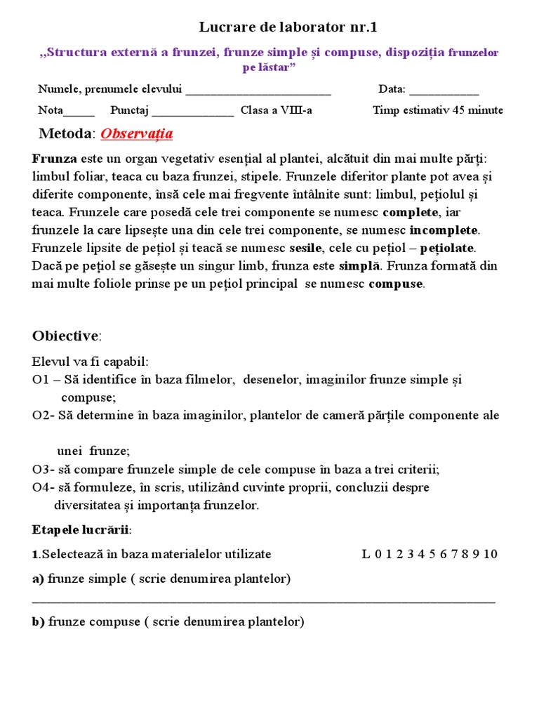 Lucrare de Laborator Clasa 8 | PDF