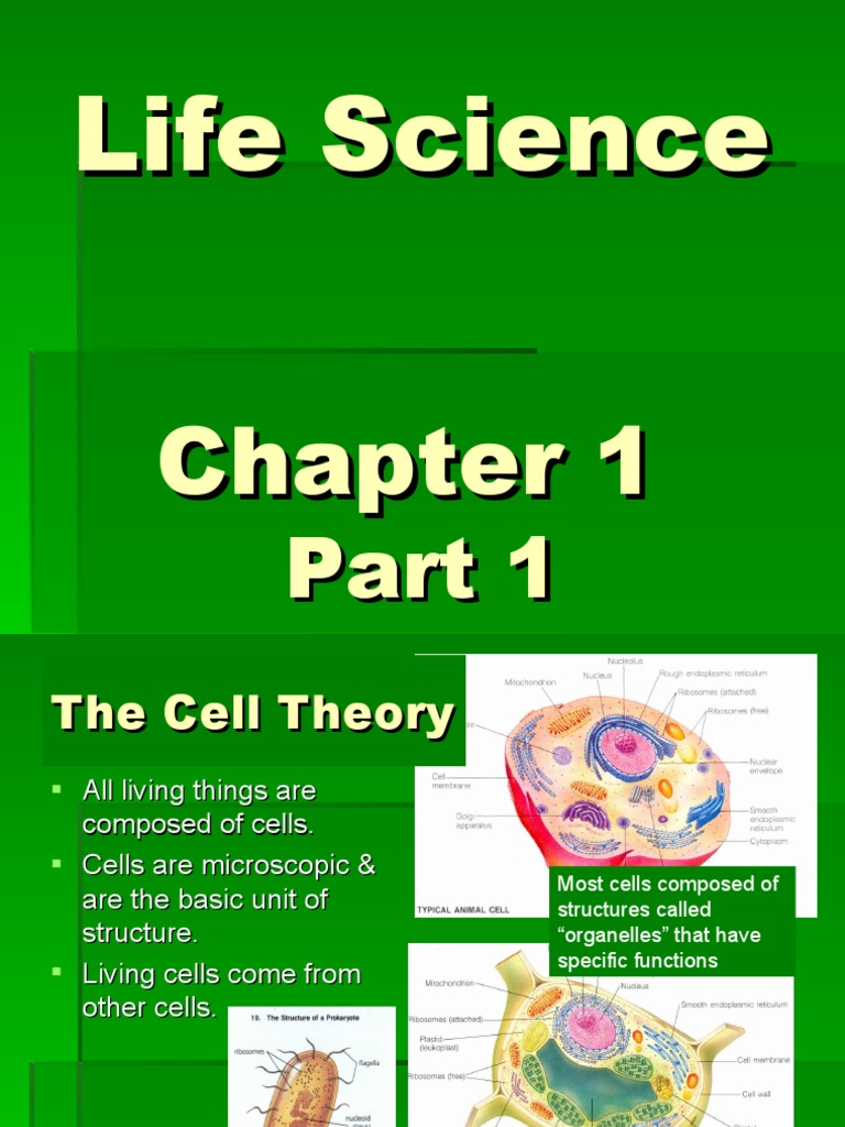 Life Chap 1 Part1 | PDF | Endoplasmic Reticulum | Cell Nucleus