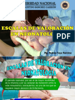 Deterioro Rostrocaudal: Etiología | PDF | Medicina | Sistema nervioso