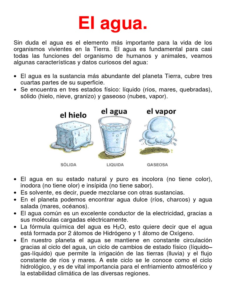 Ficha Informativa-El Agua | PDF | Tierra | Agua