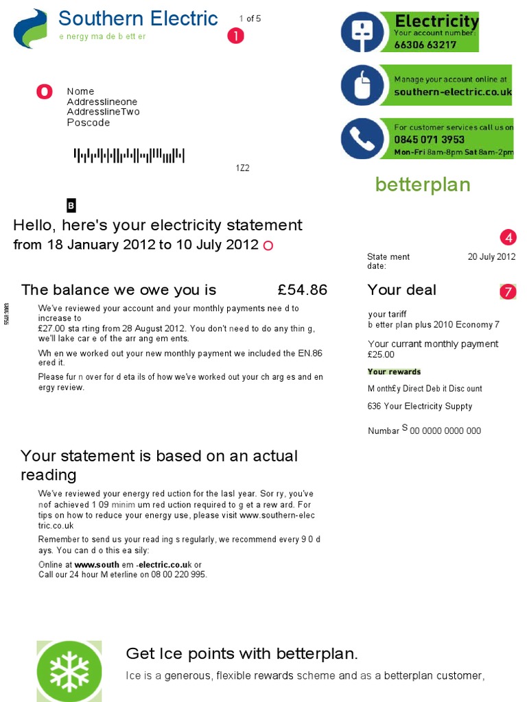 Southern Electric Electricity Statement | PDF | Nature | Electricity