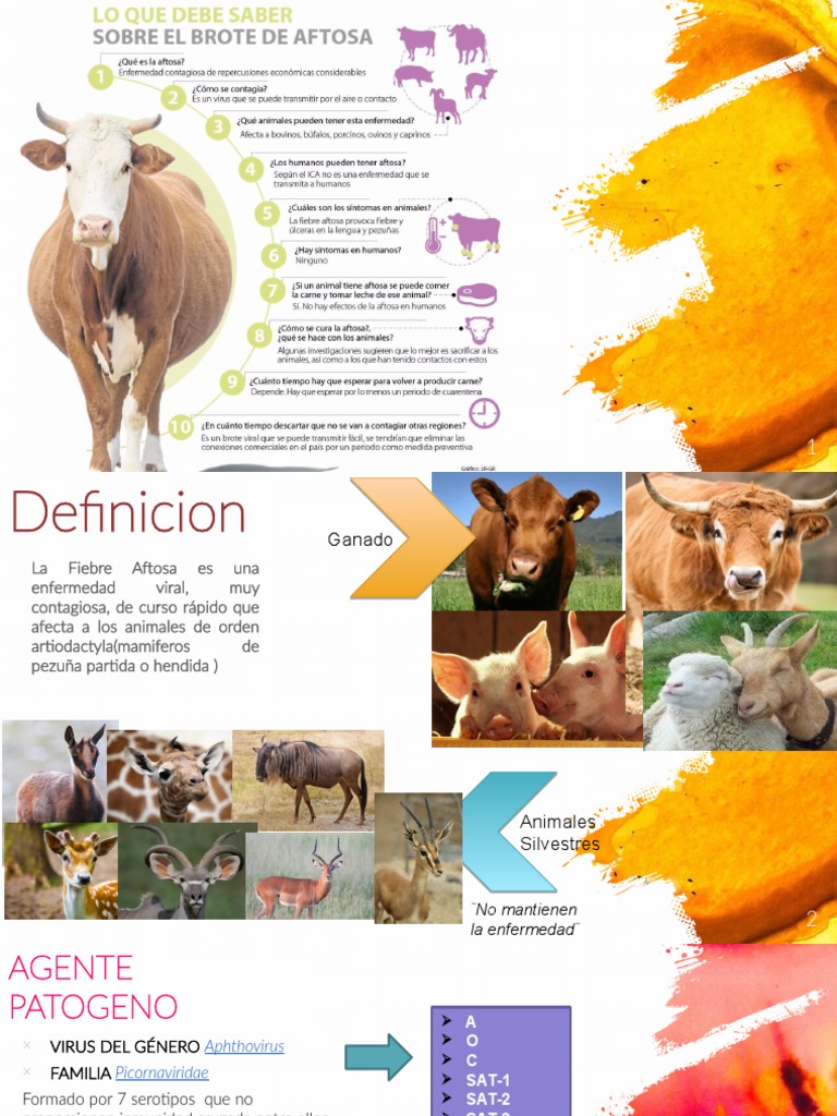 Fiebre Aftosa | PDF | Enfermedades y trastornos | Medicina CLINICA