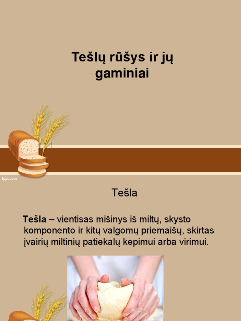 Teslu Rusys Ir Ju Gaminiai 8kl PDF | PDF