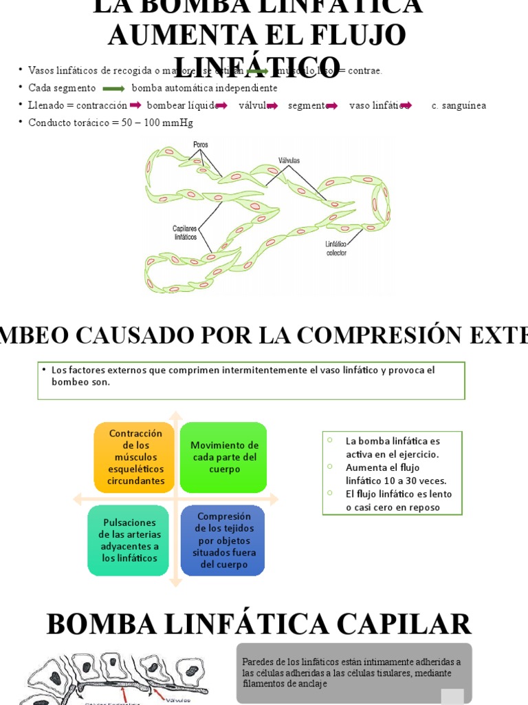 La Bomba Linfática Aumenta El Flujo Linfático | PDF | Sistema linfático ...