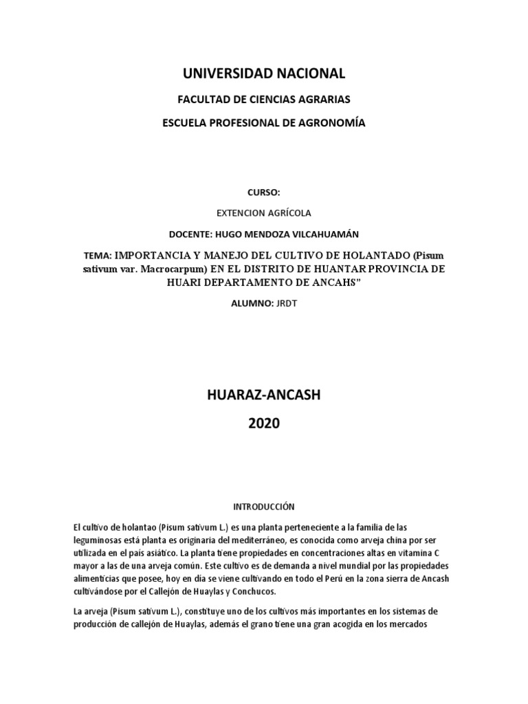 Importancia Del Cultivo de Holantao | PDF | Guisante | Fertilizante
