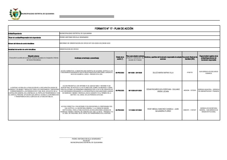 Formato - 17-Plan - de - Accion DJ | PDF | Gobierno | Business