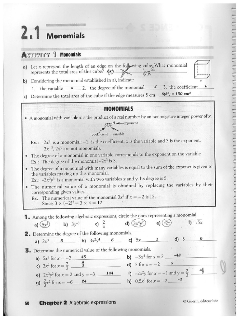 Math 3000 Polynomials Solutions PDF | PDF