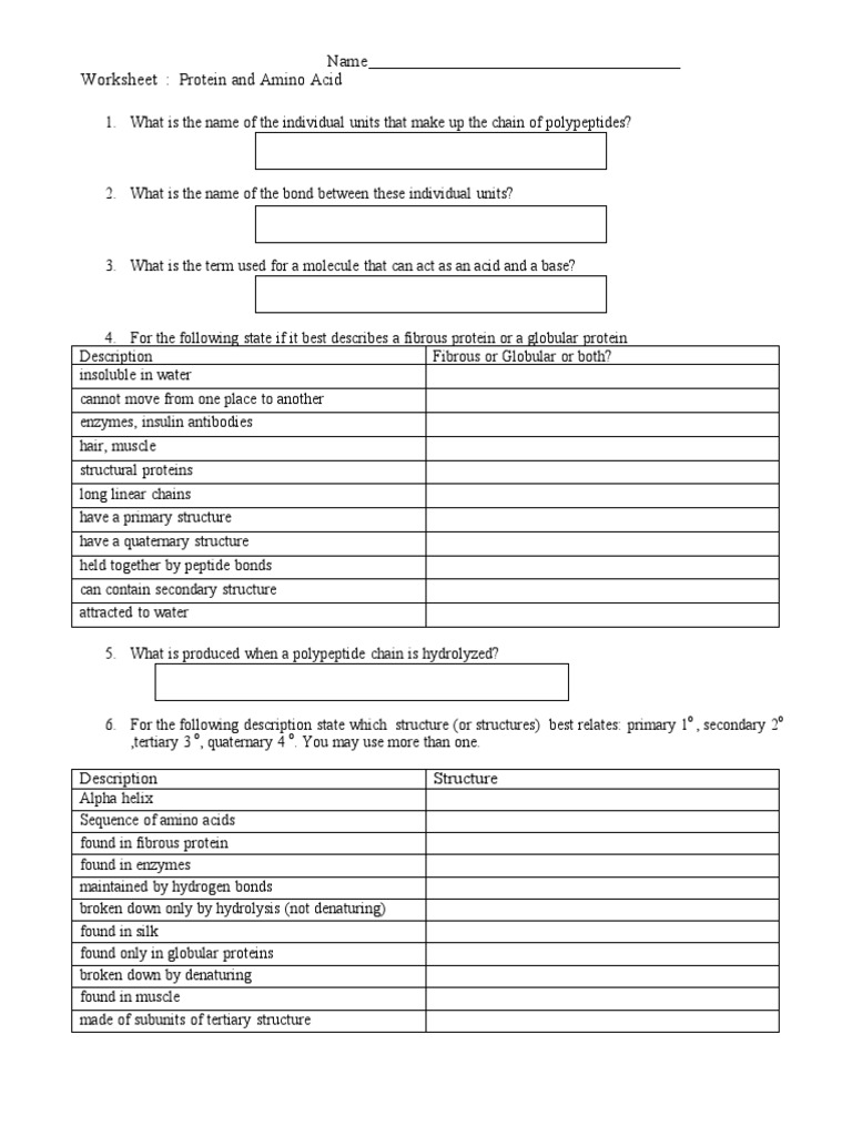 Name Worksheet: Protein and Amino Acid: o o o o | PDF | Denaturation ...