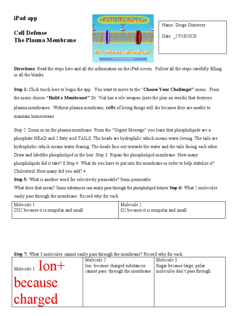 Cell Defense Worksheet | PDF | Cell Membrane | Osmosis