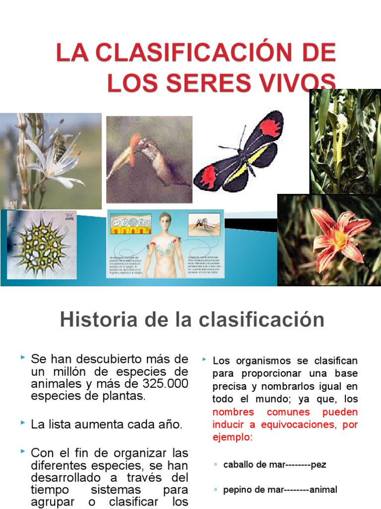 Clasificacion de Los Seres Vivos | PDF | Taxa | Biología