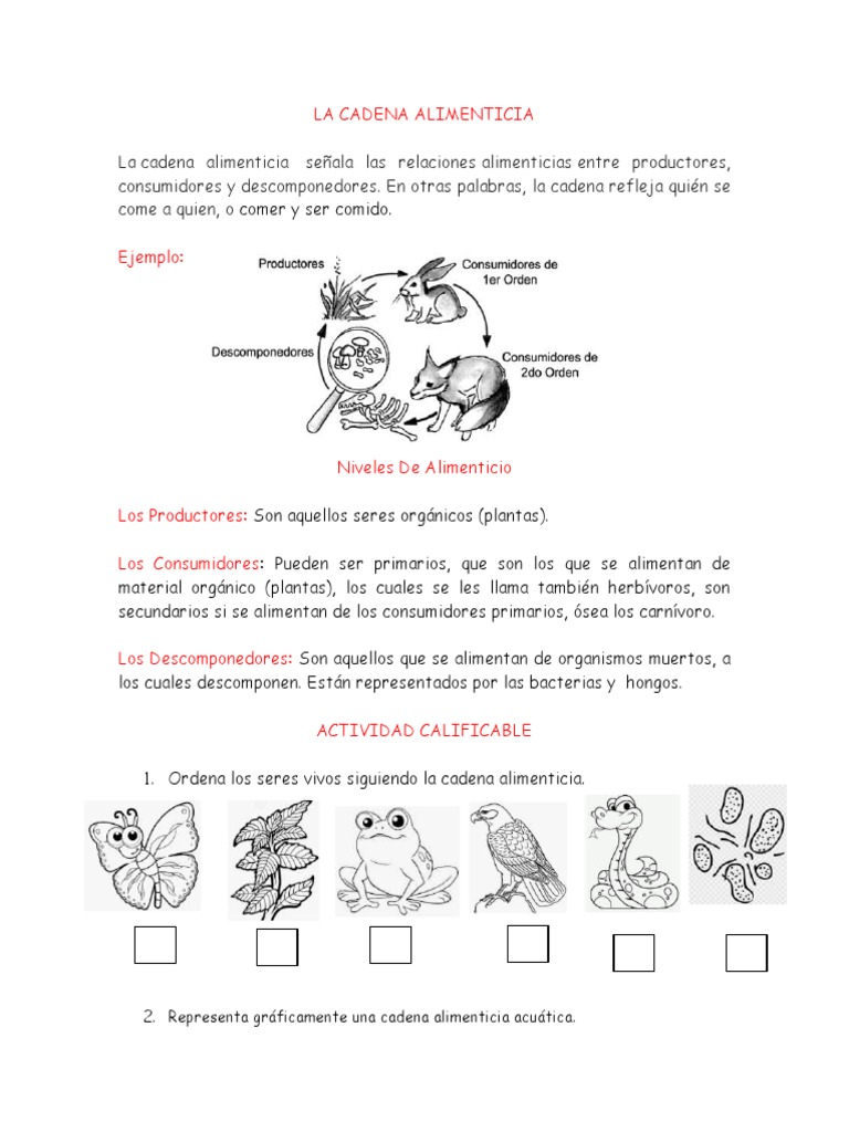 La Cadena Alimenticia | PDF