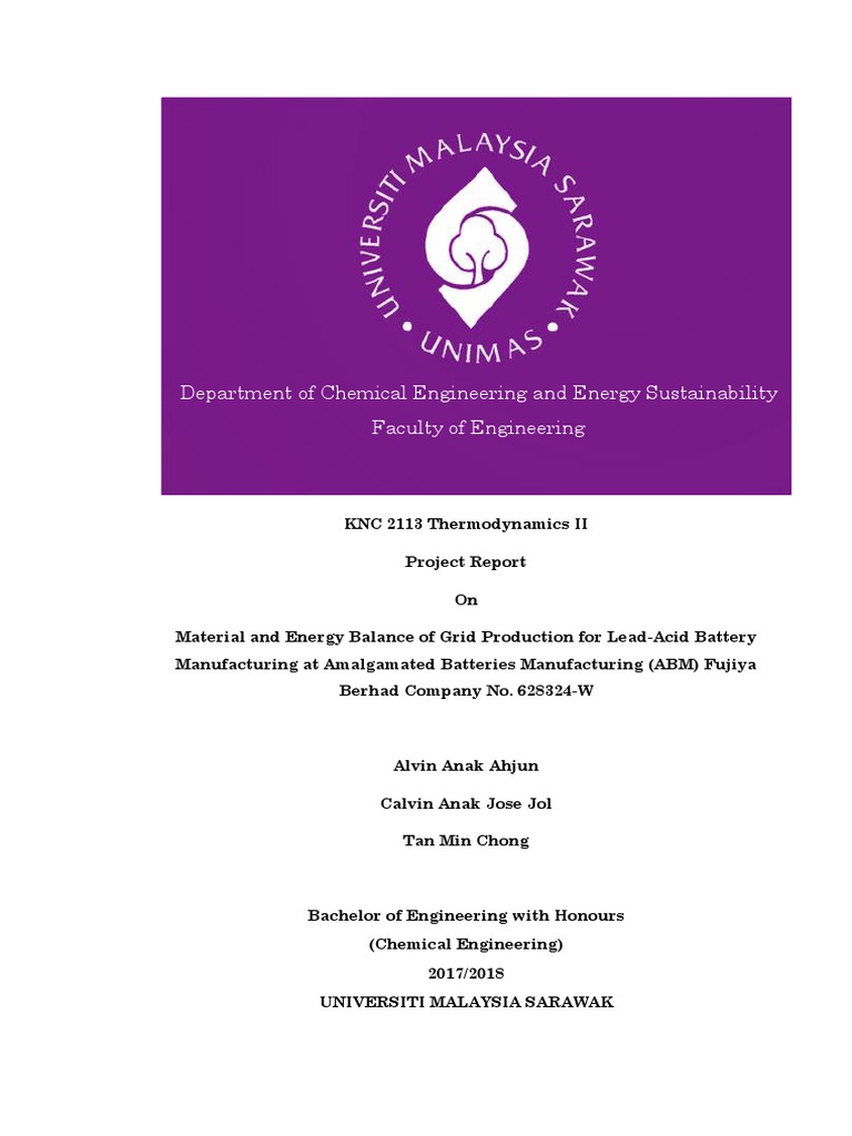 Thermodynamics Project II (2 Copies) | PDF | Chemical Reactions ...