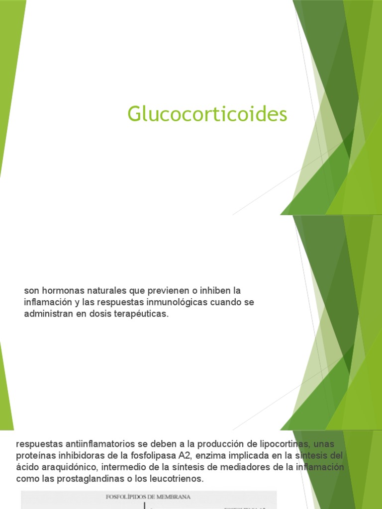 Glucocorticoides y su uso veterinario | PDF | Glucocorticoides | Droga ...