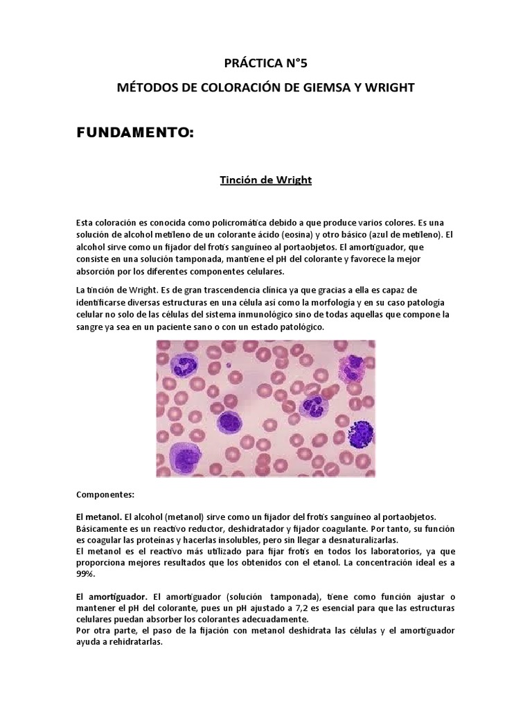 Practica 5 - MÉTODOS DE COLORACIÓN DE GIEMSA Y WRIGHT | PDF | Tinción ...