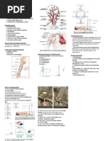Defibrillation Checklist | PDF | Heart | Cardiopulmonary Resuscitation