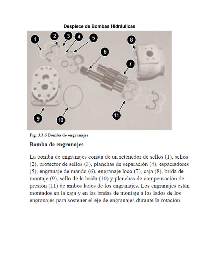 Despiece de Bombas Hidráulicas - Trabajo | PDF