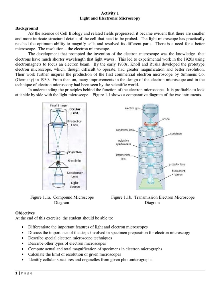 1 Electron Micros | PDF | Microscope | Electron Microscope