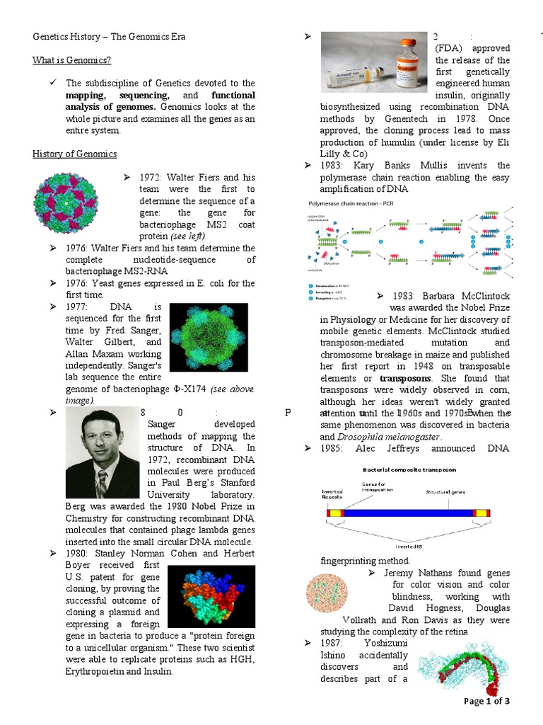 Genomics Era Handout | PDF | Genomics | Gene