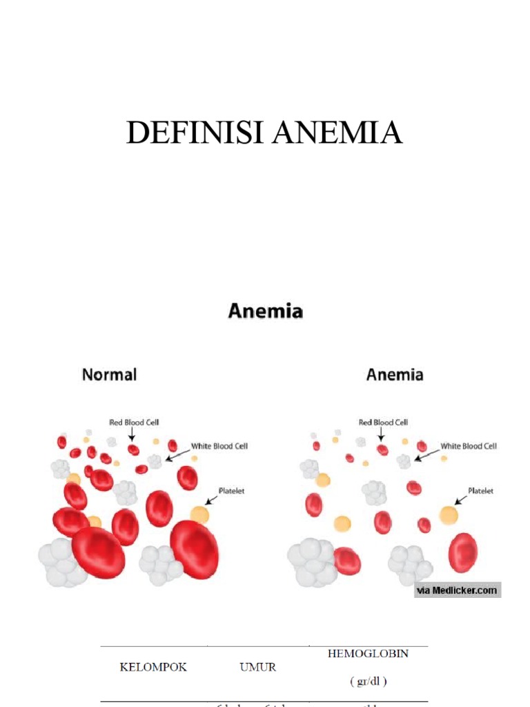 Definisi Dan Klasifikasi Anemia | PDF
