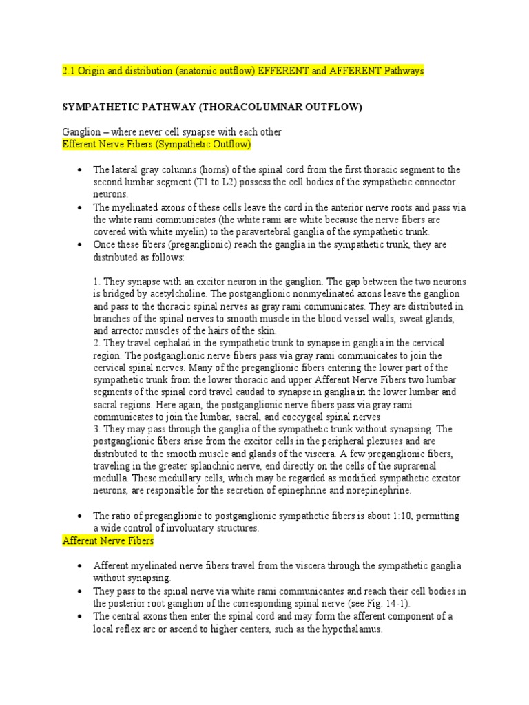 Sympathetic Pathway (Thoracolumnar Outflow) | PDF | Spinal Cord | Nerve