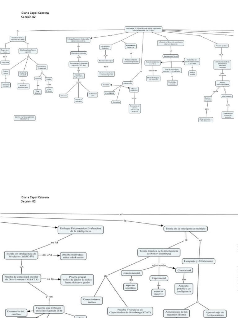 Mapa Conceptual Niñez | PDF