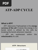 Coupled Reaction Processes and The Role of ATP in Energy Coupling and ...