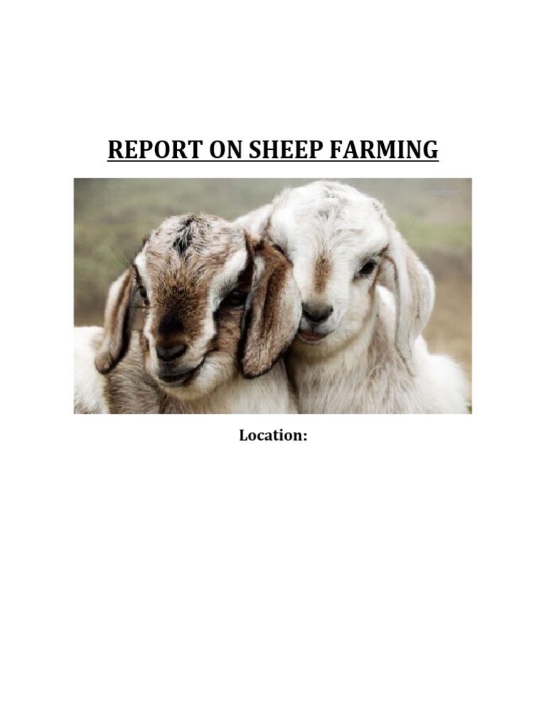 Sheep Farming | PDF | Sheep | Ovis