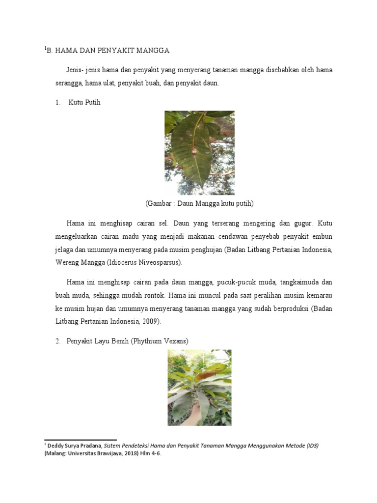 Hama dan Penyakit Tanaman Mangga | PDF | Griya & Taman | Kesehatan Holistik