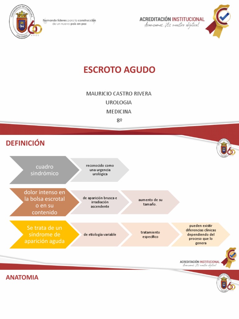 Escroto Agudo | PDF | Especialidades Medicas | Enfermedades y trastornos