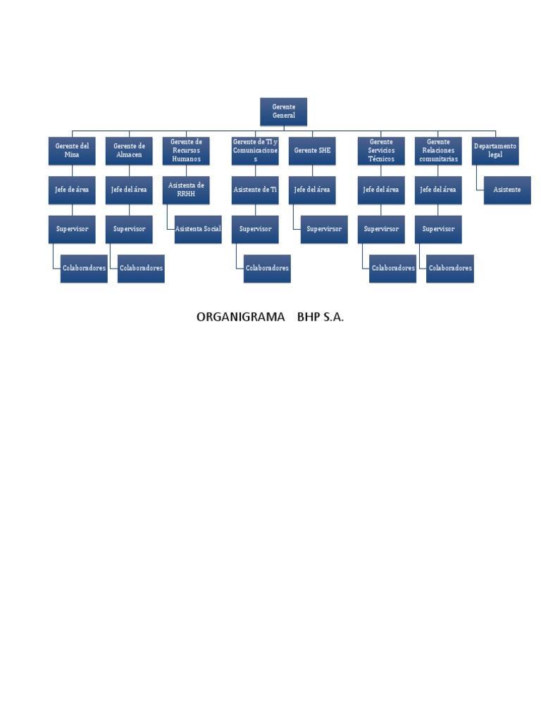 Organigrama BHP S | PDF