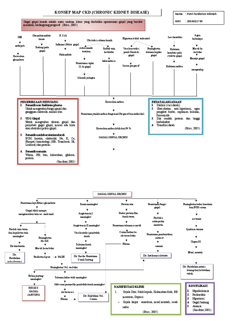 Pathway CKD | PDF