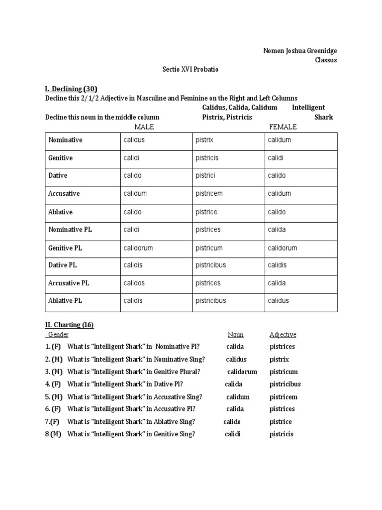 Latin Grammar: Declining Nouns & Adjectives | PDF | Linguistic ...