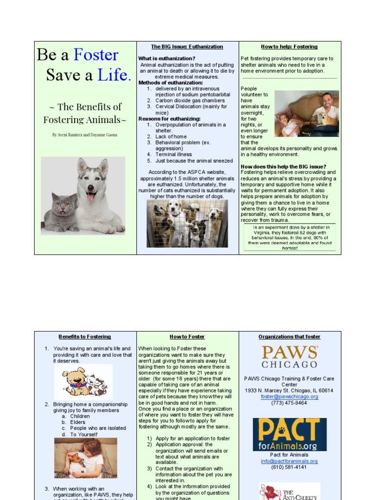 Fostering Pamphlet | PDF | Animals And Humans | Behavioural Sciences