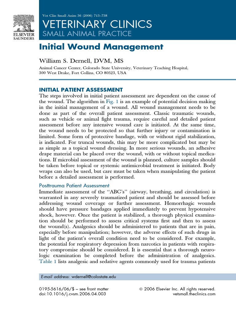 Veterinary Clinics: Initial Wound Management | PDF | Wound | Analgesic