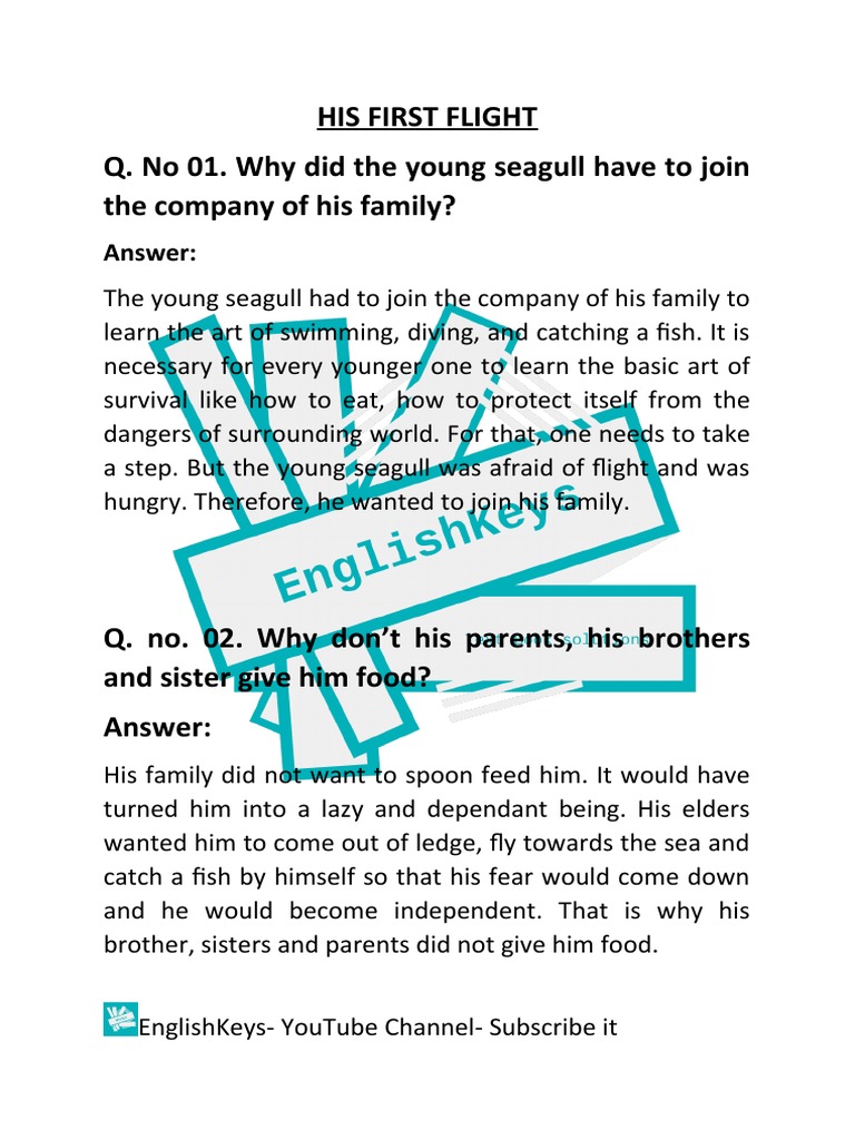 Question Answers - His First Flight | PDF