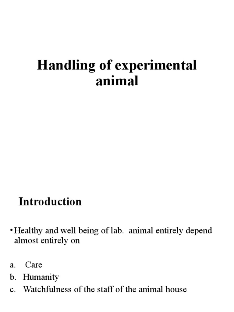 Animal Experiment | PDF | Rabbit | Guinea Pig