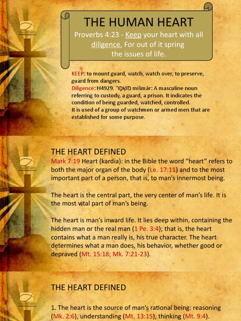 The Human Heart: Proverbs 4:23 - Keep Your Heart With All Diligence ...