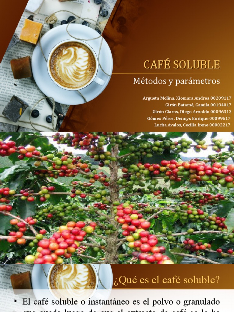 Producción y Análisis del Café Soluble | PDF | café | Solubilidad