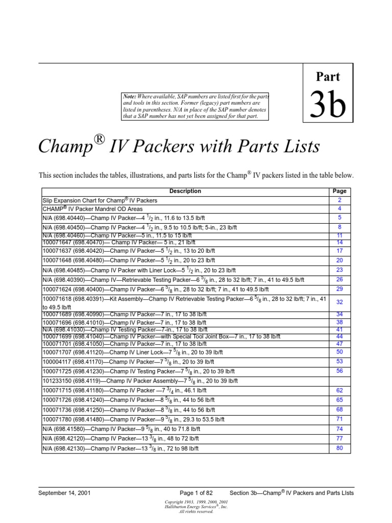 Champ IV Packers With Parts Lists | PDF | Casing (Borehole) | Pipe ...
