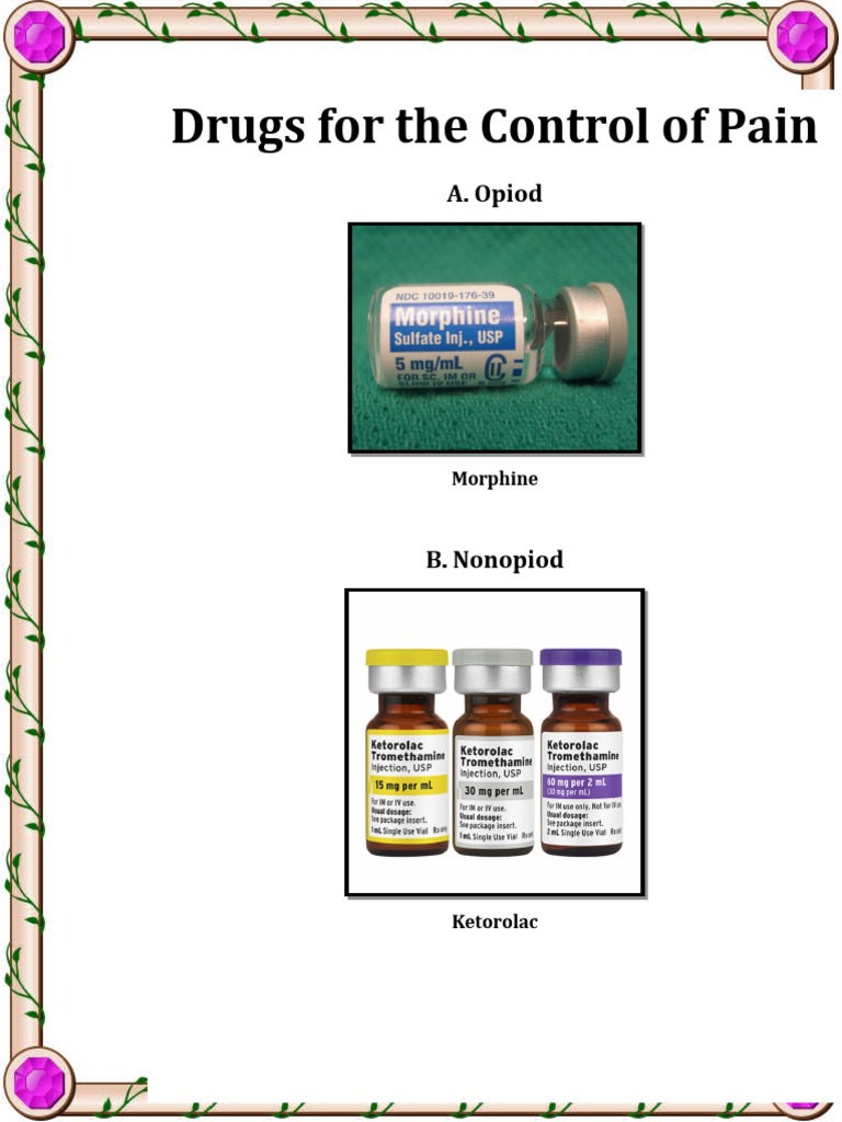 Drugs For The Control of Pain: Opioid | PDF | Morphine | Analgesic