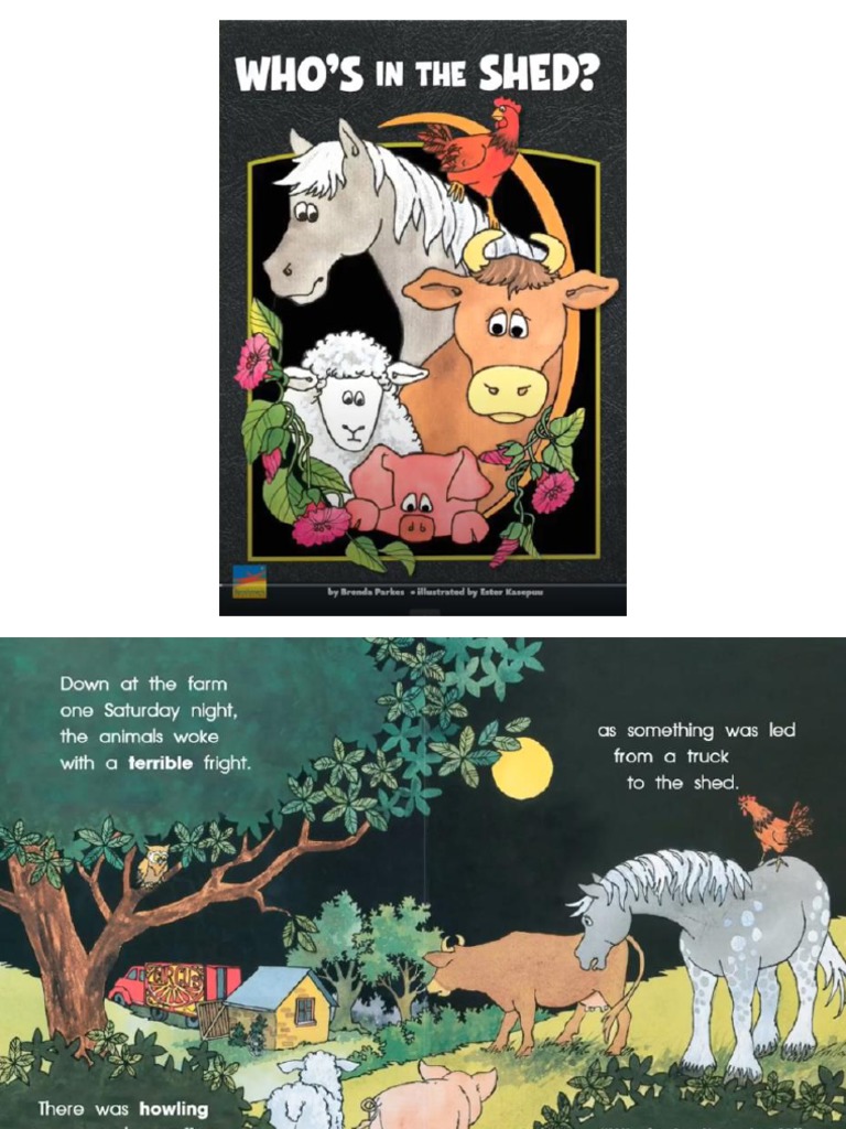 7 YR1 Whos in The Shed Story PDF | PDF