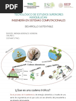 Cadena Alimenticia - Productores, Consumidores y Descomponedores PDF ...