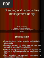 Reproductive Physiology and Anatomy of The Sow PDF | PDF | Luteinizing ...