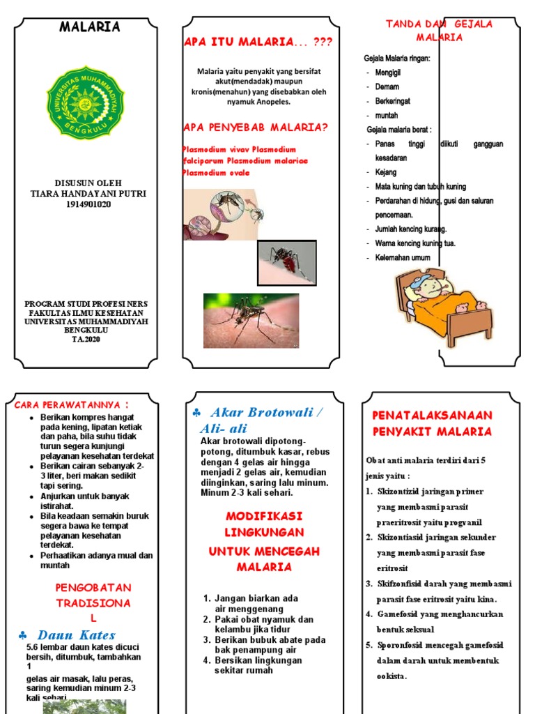 Leaflet Malaria Tiara Handayani Putri | PDF
