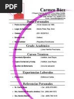 Curriculum Vitae Jaime | PDF