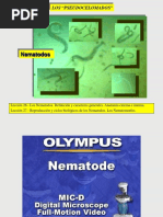 CUESTIONARIO CERTIFICATIVO MORFO HUMANA | PDF | Sistema digestivo humano | Riñón