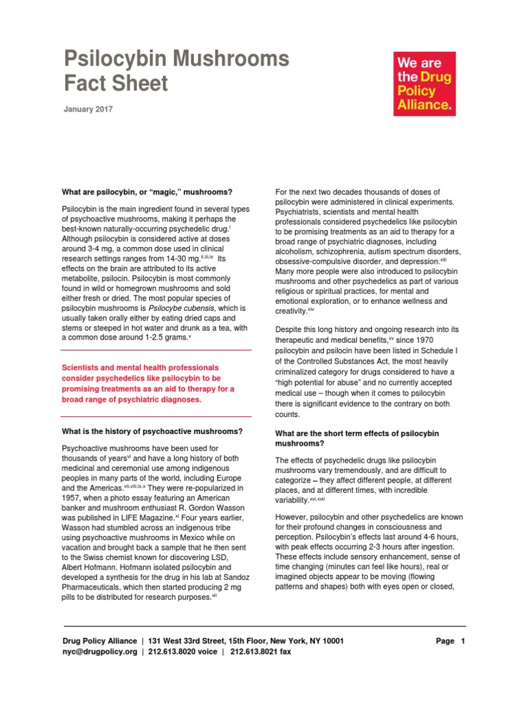 Psilocybin Mushrooms Fact Sheet PDF | PDF | Psilocybin | Hallucinogen