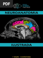 Teste de Einstein - Teste de QI - Racha Cuca | PDF | Lógica