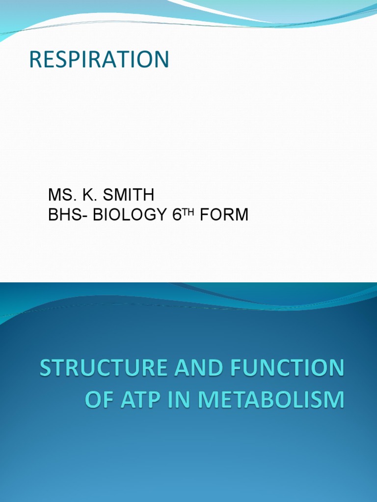 Respiration: Ms. K. Smith Bhs-Biology 6 Form | PDF | Cellular ...